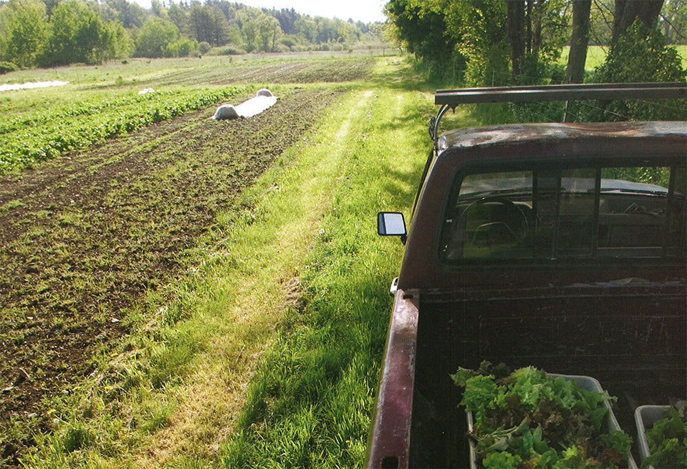 Fresh Off the Farm – Heeb Media